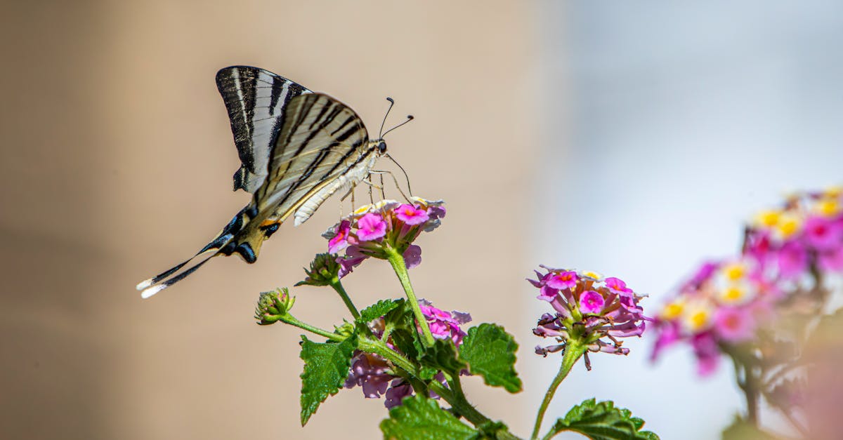 Effets secondaires de la chimio : que savoir ? - La Maison de Santé