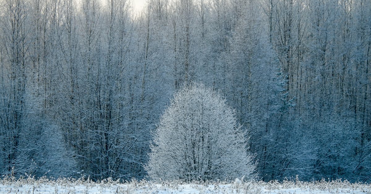 Engourdissement : comprendre ce phénomène - La Maison de Santé