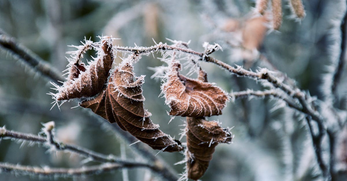 Engourdissement permanent : comprendre les causes et les solutions - La ...
