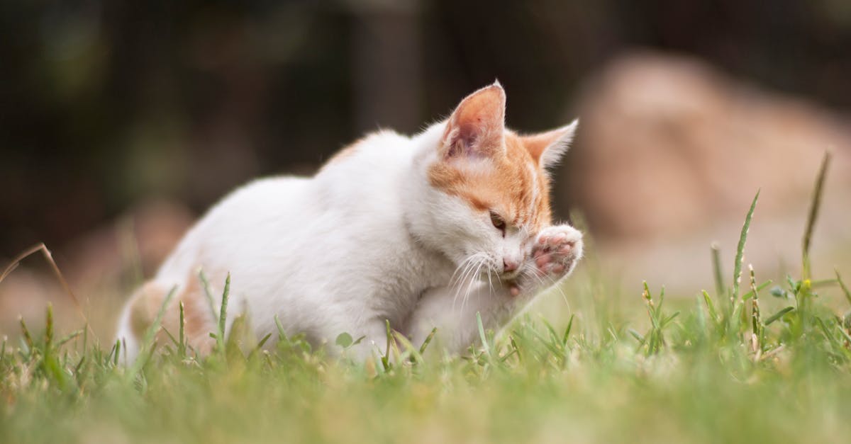 Picotements dans les mains : causes et solutions à connaître - La ...