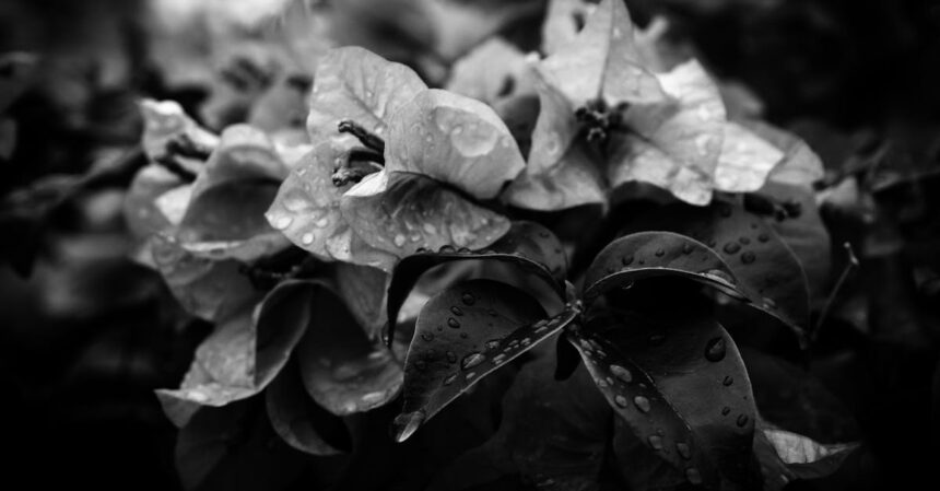 La fragilité émotionnelle : clés pour mieux la comprendre 🌈💔