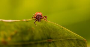 Reconnaître les malaises : décryptage des causes 🌡️🤔